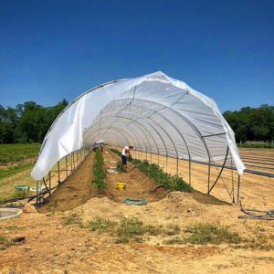 Willkommen auf unseren Erlebnishöfen - Jucker Farm
