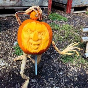 Wilkommen auf unseren Erlebnishöfen - Jucker Farm - Jucker Farm