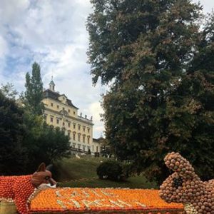 Wilkommen auf unseren Erlebnishöfen - Jucker Farm - Jucker Farm