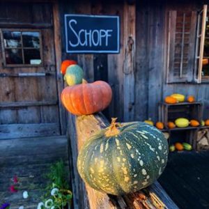 Wilkommen auf unseren Erlebnishöfen - Jucker Farm - Jucker Farm