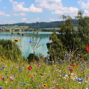 Willkommen auf unseren Erlebnishöfen - Jucker Farm