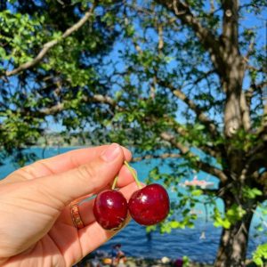 Willkommen auf unseren Erlebnishöfen - Jucker Farm