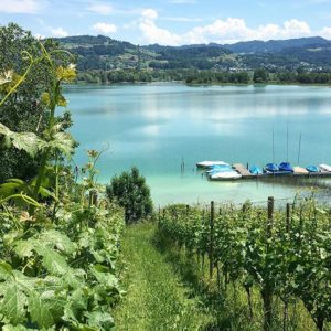 Willkommen auf unseren Erlebnishöfen - Jucker Farm