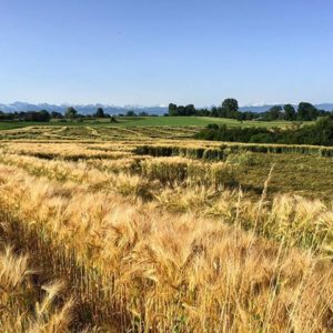 Willkommen auf unseren Erlebnishöfen - Jucker Farm