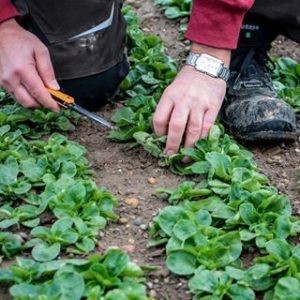 Willkommen auf unseren Erlebnishöfen - Jucker Farm