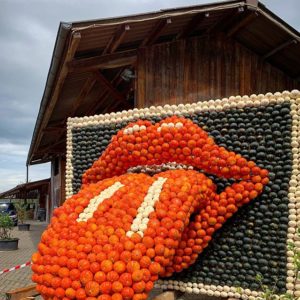 Willkommen auf unseren Erlebnishöfen - Jucker Farm