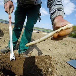 Willkommen auf unseren Erlebnishöfen - Jucker Farm