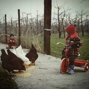 Willkommen auf unseren Erlebnishöfen - Jucker Farm