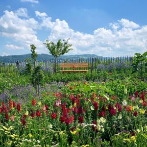 Willkommen auf unseren Erlebnishöfen - Jucker Farm