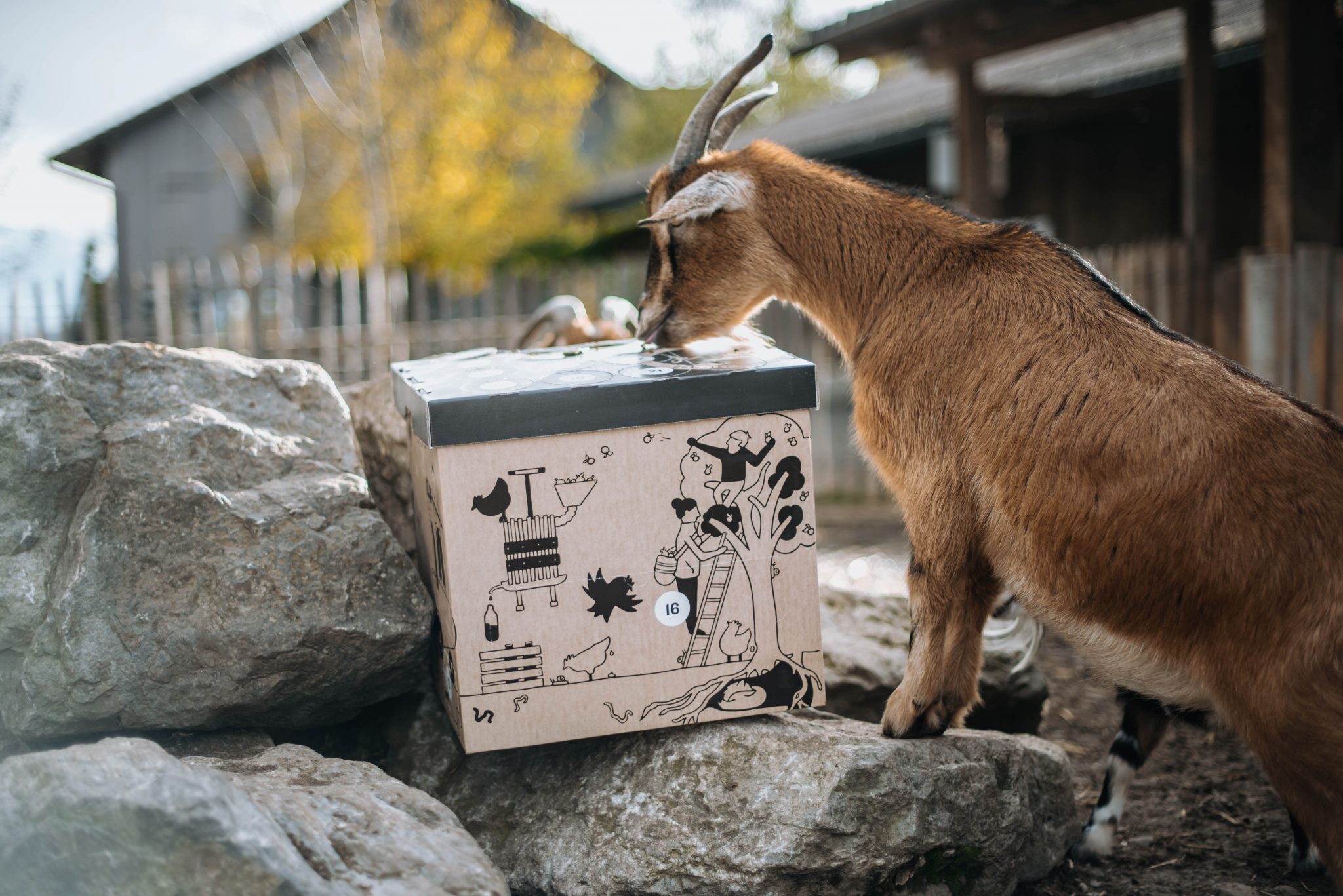 Events und Seminare auf dem Bauernhof - Jucker Farm