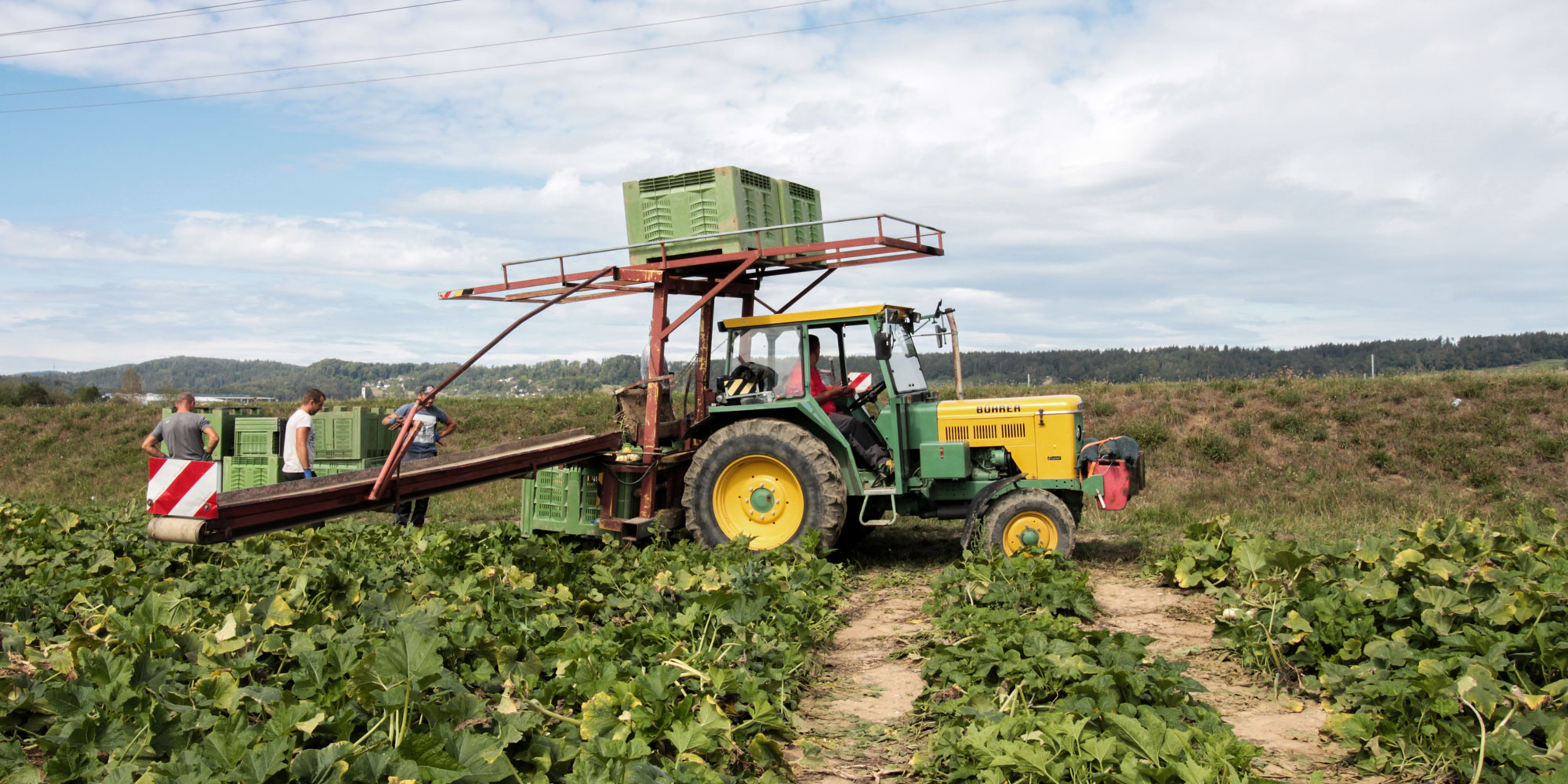 Martin Jucker zu den Agrarinitiativen - JA oder NEIN? - FarmTicker.ch