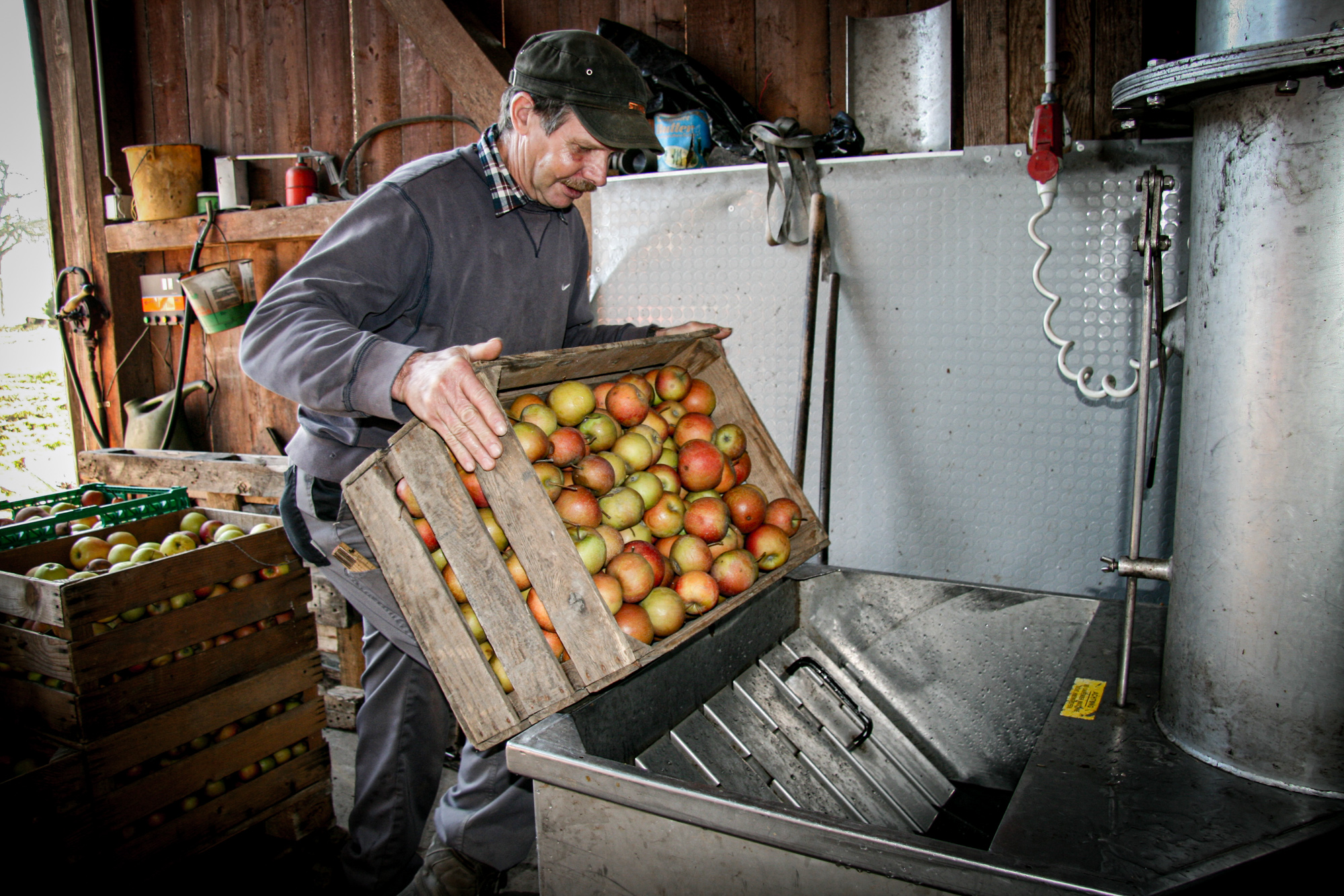 Heissgeliebter Most - Über die Mostproduktion - FarmTicker