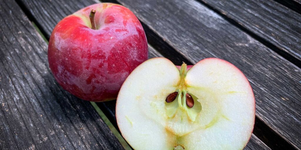 Spezielle Apfelsorten - SaisonLexikon auf FarmTicker.ch