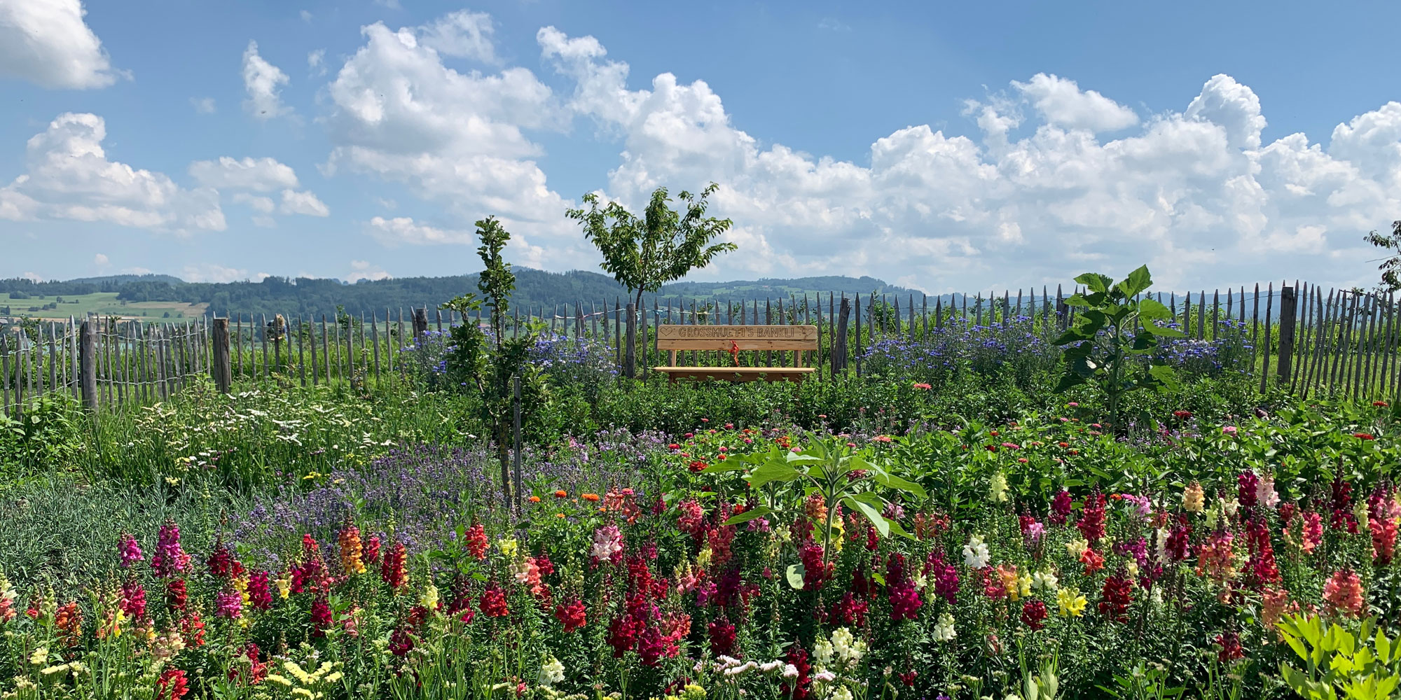 Jucker Farm wird regenerativ - Hofleben auf FarmTicker.ch