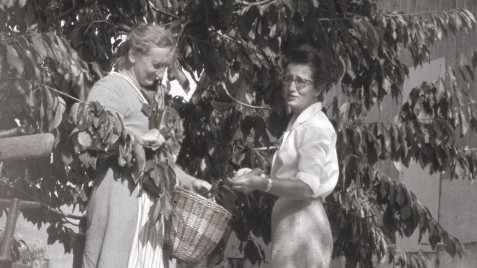 Die Jucker Saga Teil 5 - Bauernfamilie von früher - FarmTicker