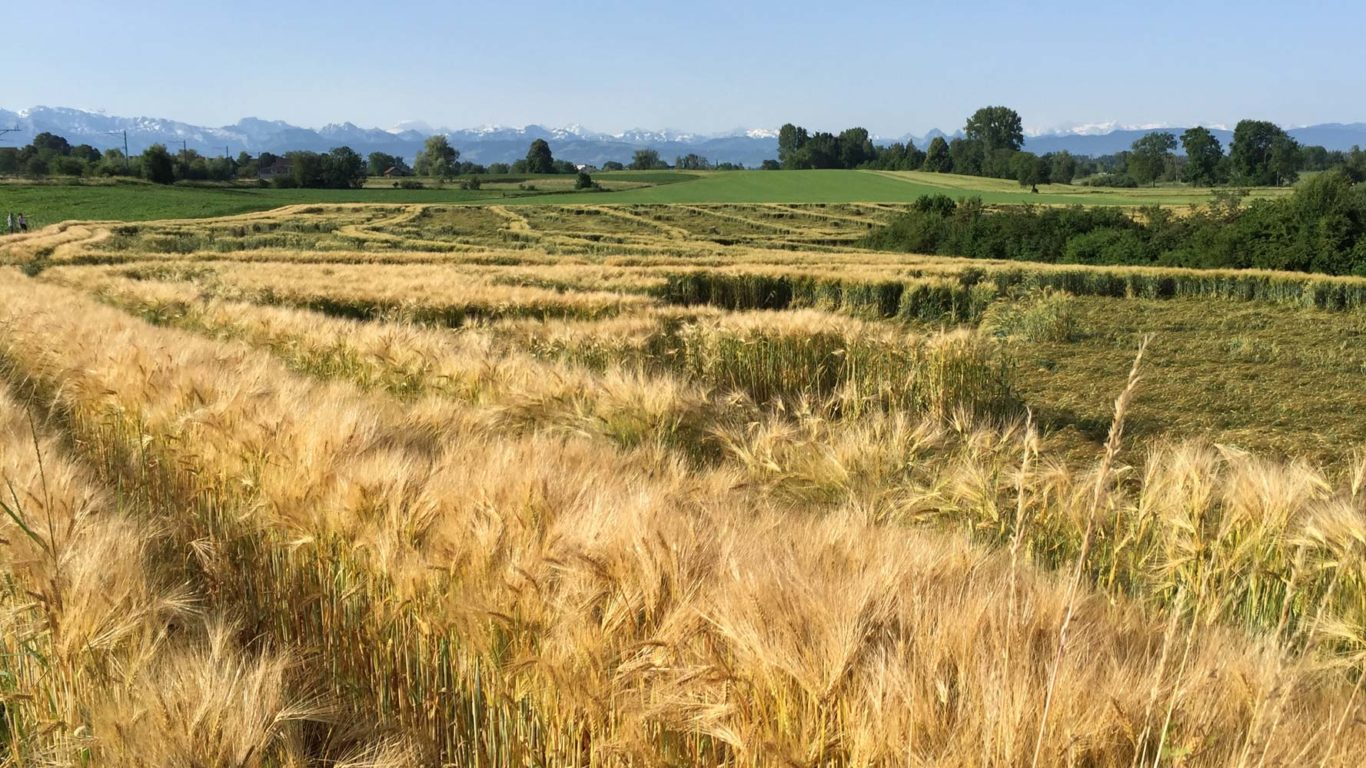 FarmTicker - News vom Hof