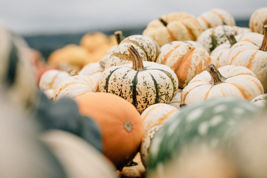 Willkommen auf unseren Erlebnishöfen - Jucker Farm