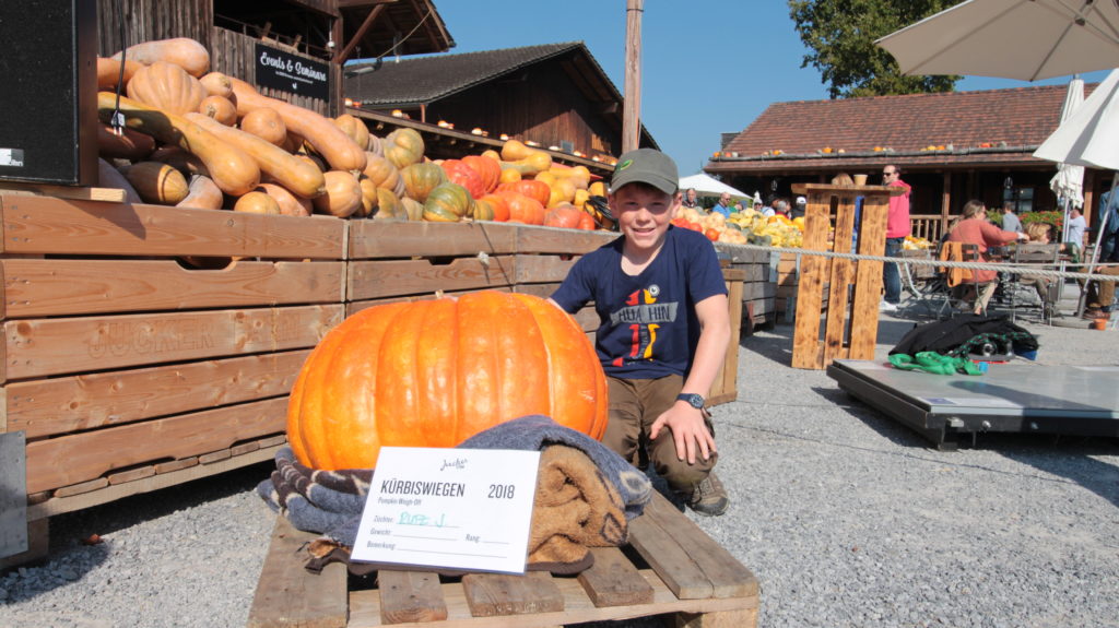 Wie ziehe ich einen Riesenkürbis? - Saison Lexikon auf FarmTicker.ch