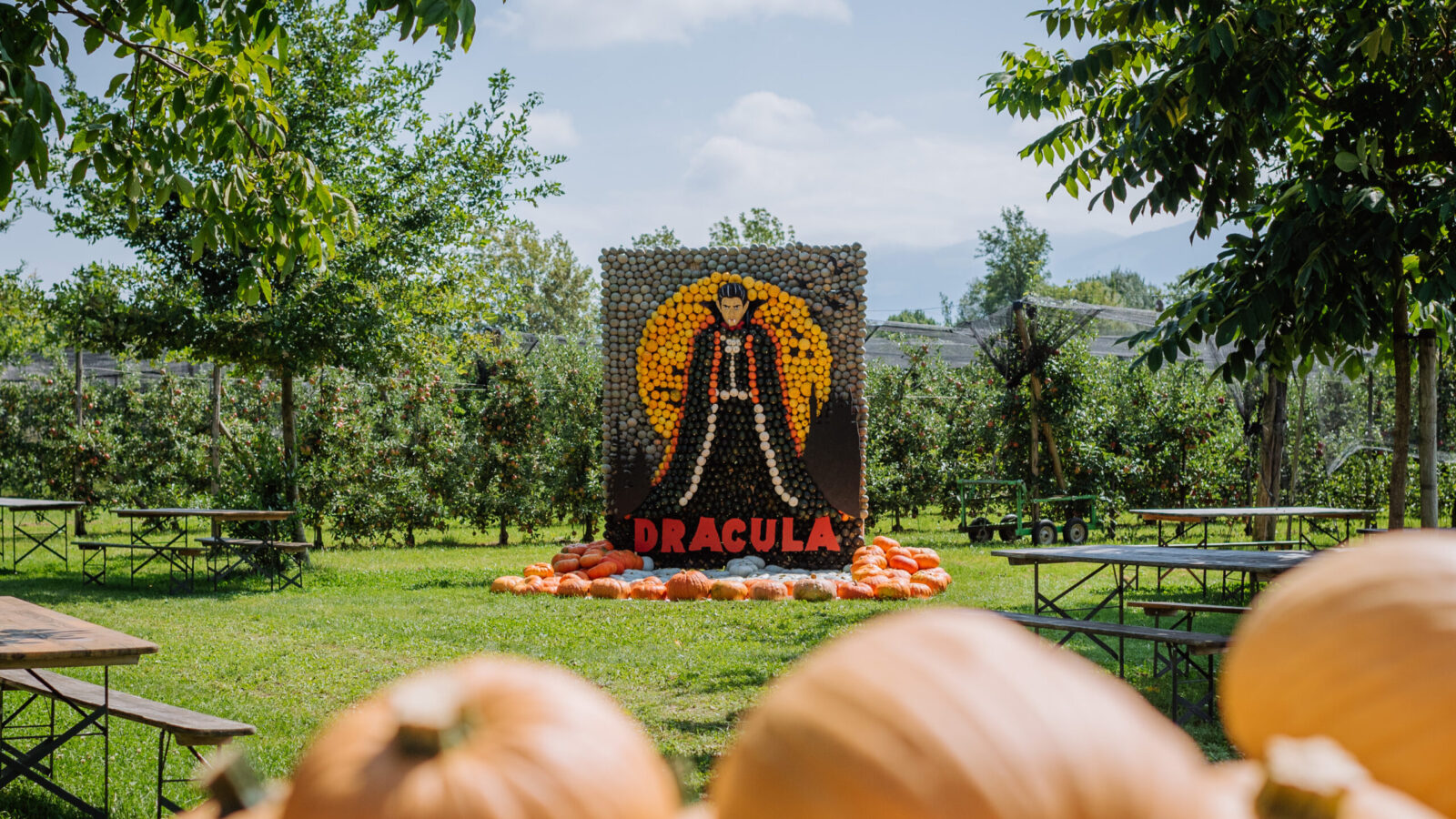 Willkommen auf unseren Erlebnishöfen - Jucker Farm