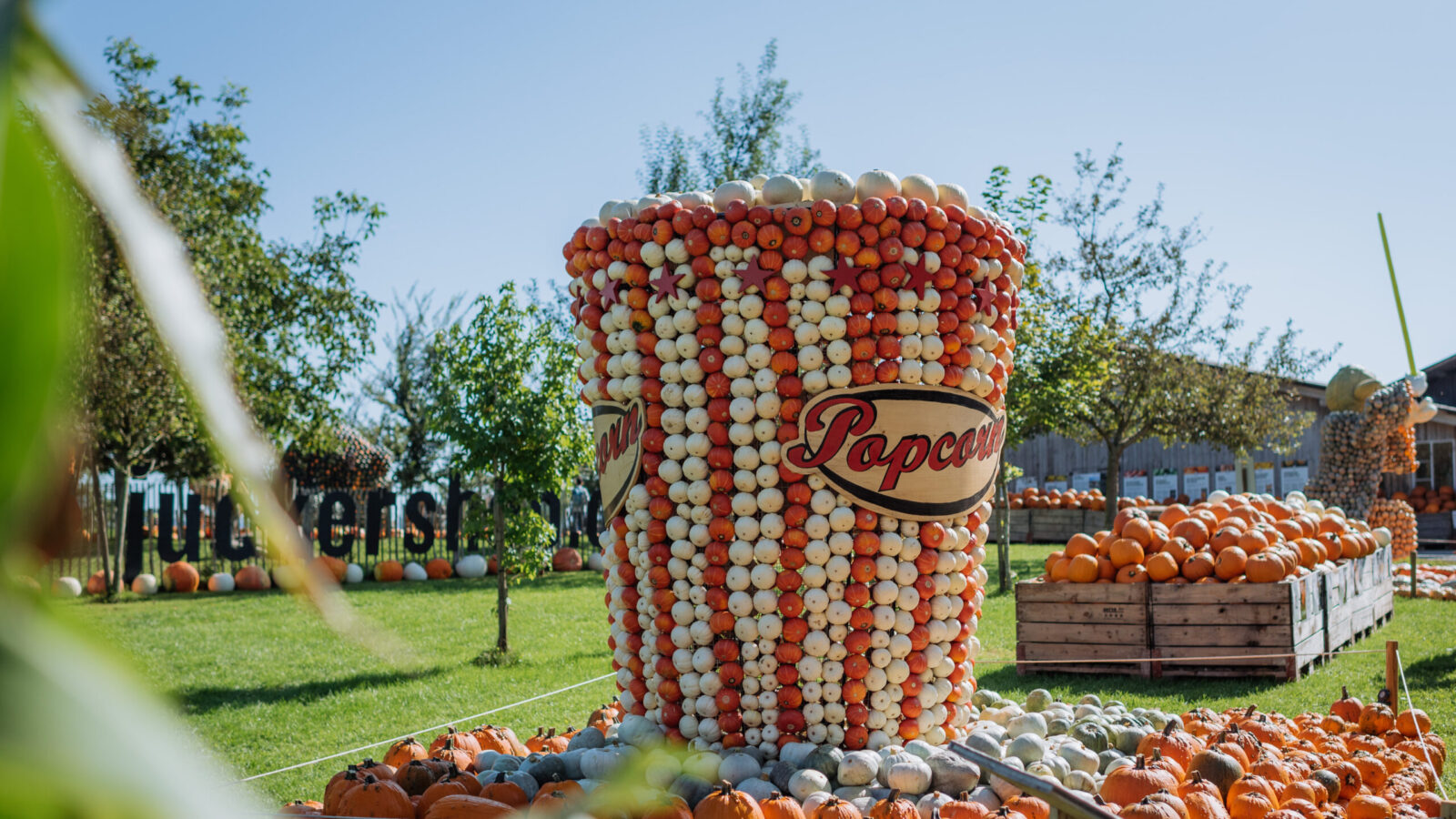 Erlebnisbauernhof Juckerhof in Seegräben - Jucker Farm