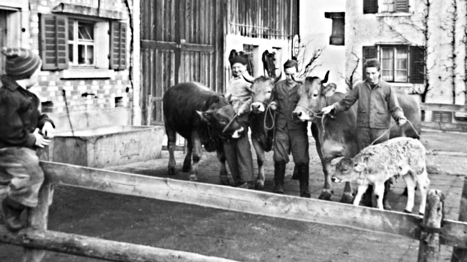 Die Jucker-Saga Teil 1 - Geschichte der Familie Jucker - FarmTicker