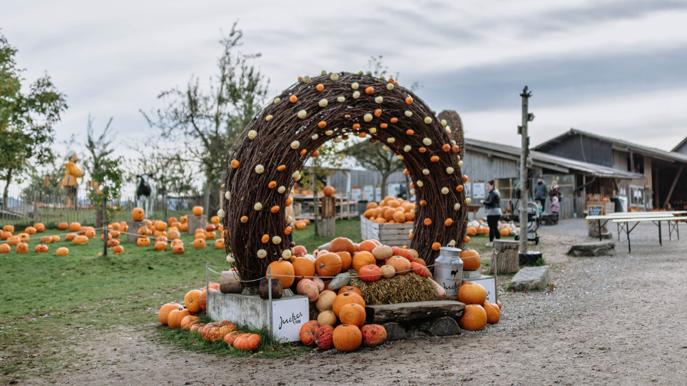Erlebnisbauernhof Juckerhof in Seegräben - Jucker Farm