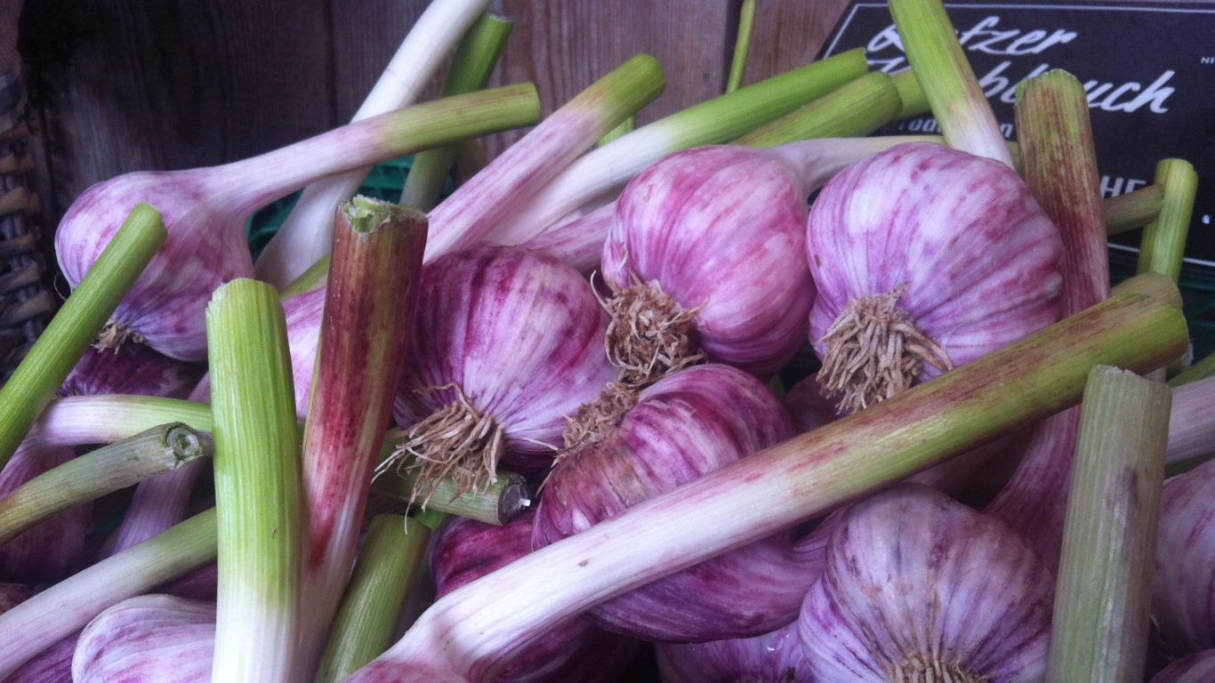 Der Knoblauch vom Spargelhof - FarmTicker