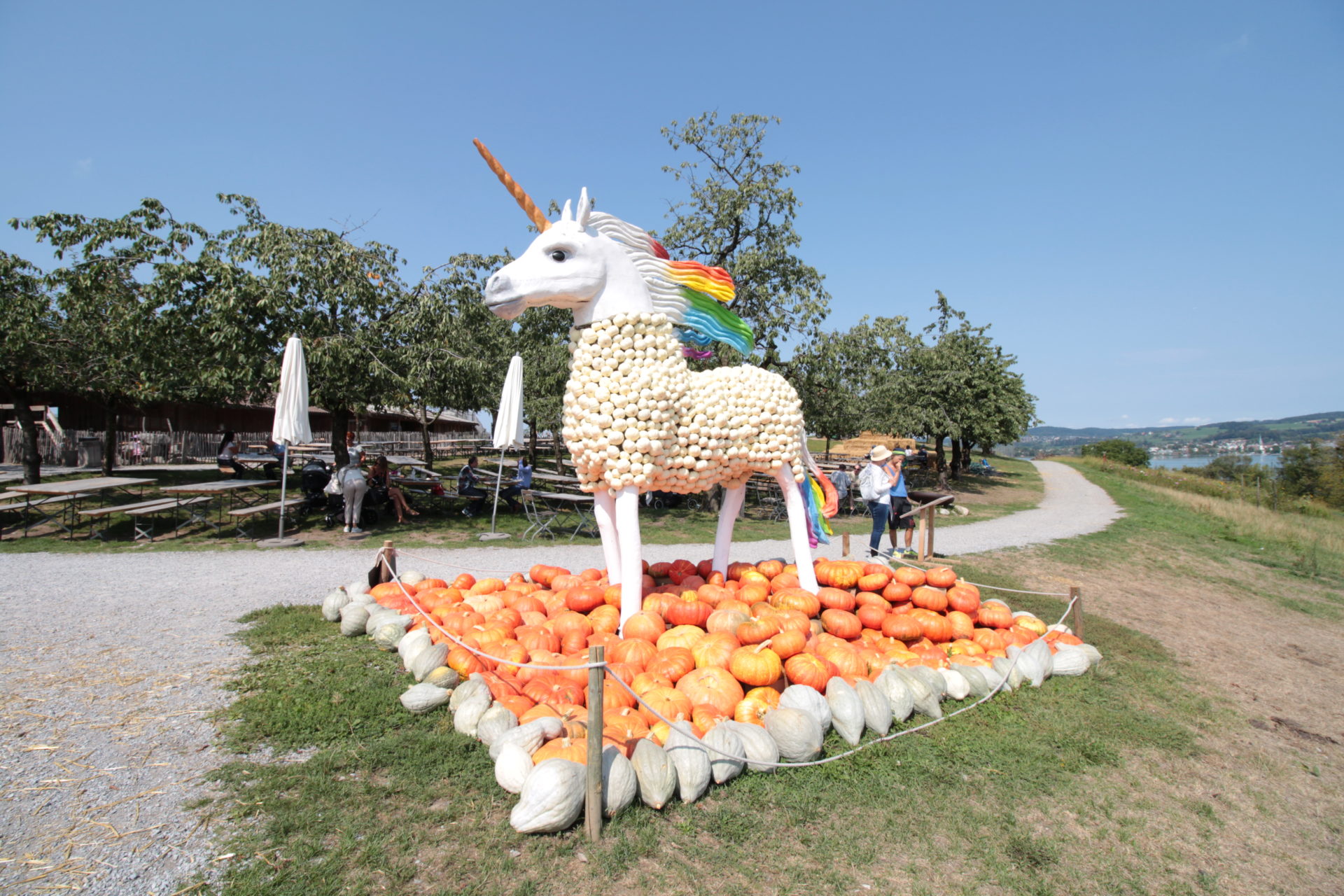 Willkommen auf unseren Erlebnishöfen - Jucker Farm