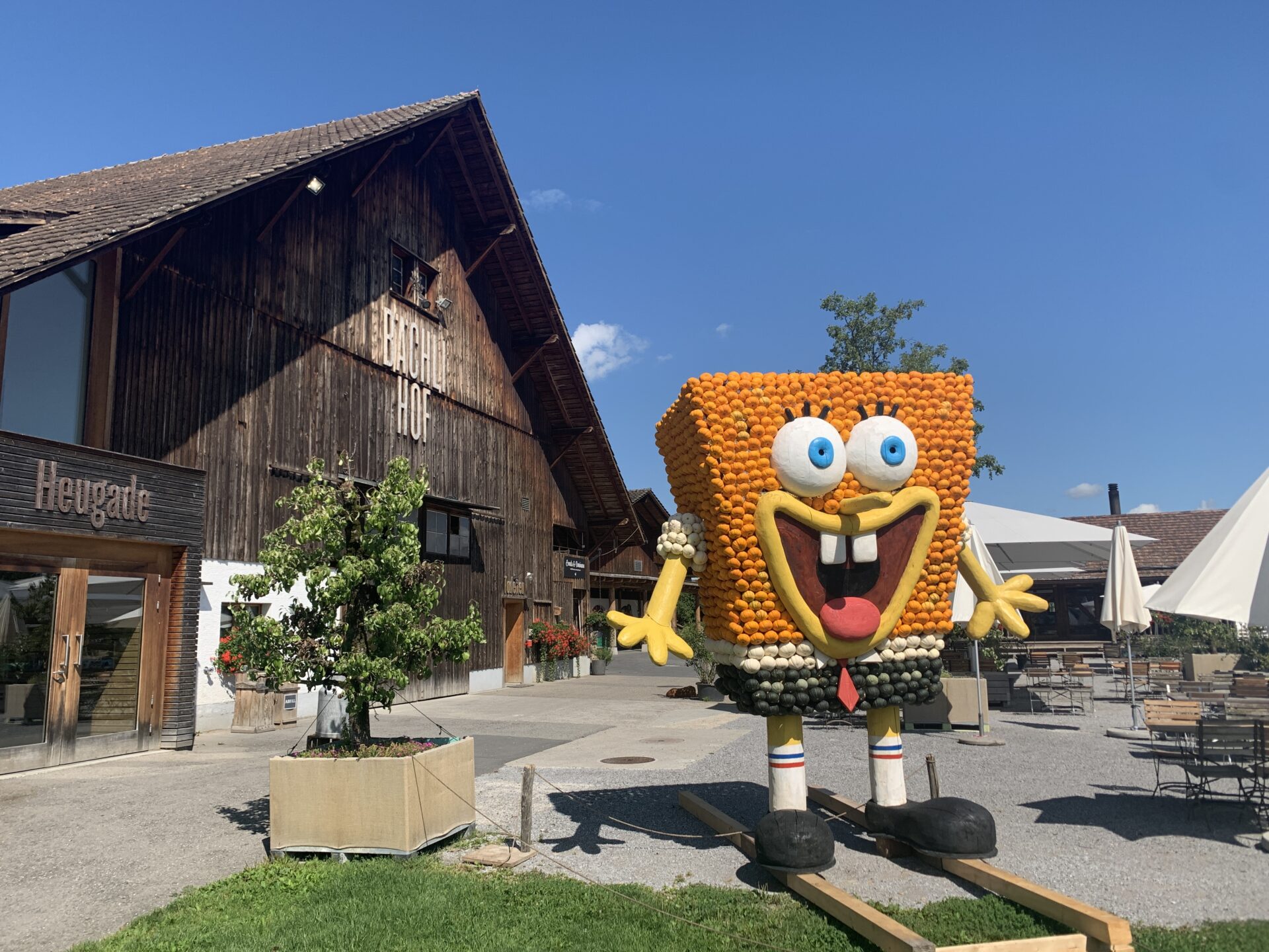Willkommen auf unseren Erlebnishöfen - Jucker Farm