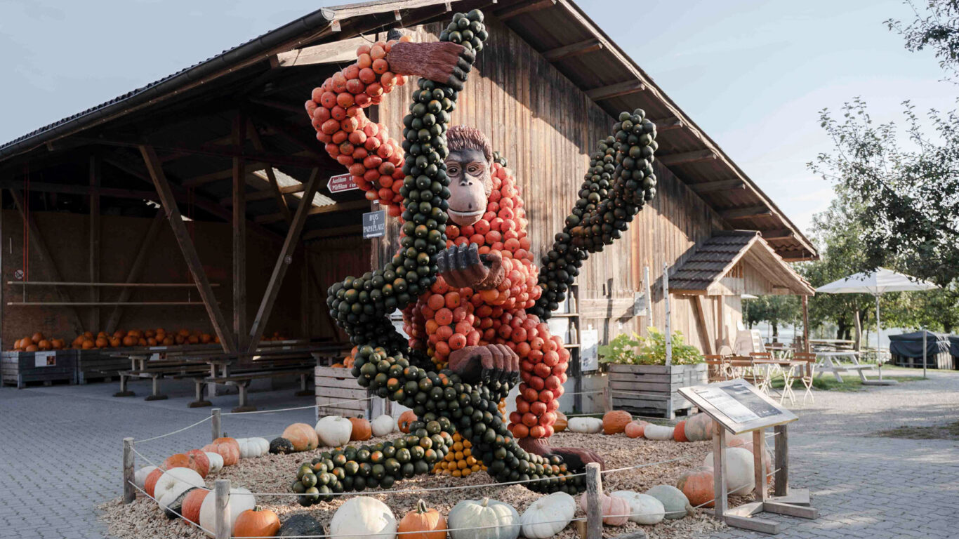 Kürbisausstellung auf dem Bauernhof - Jucker Farm