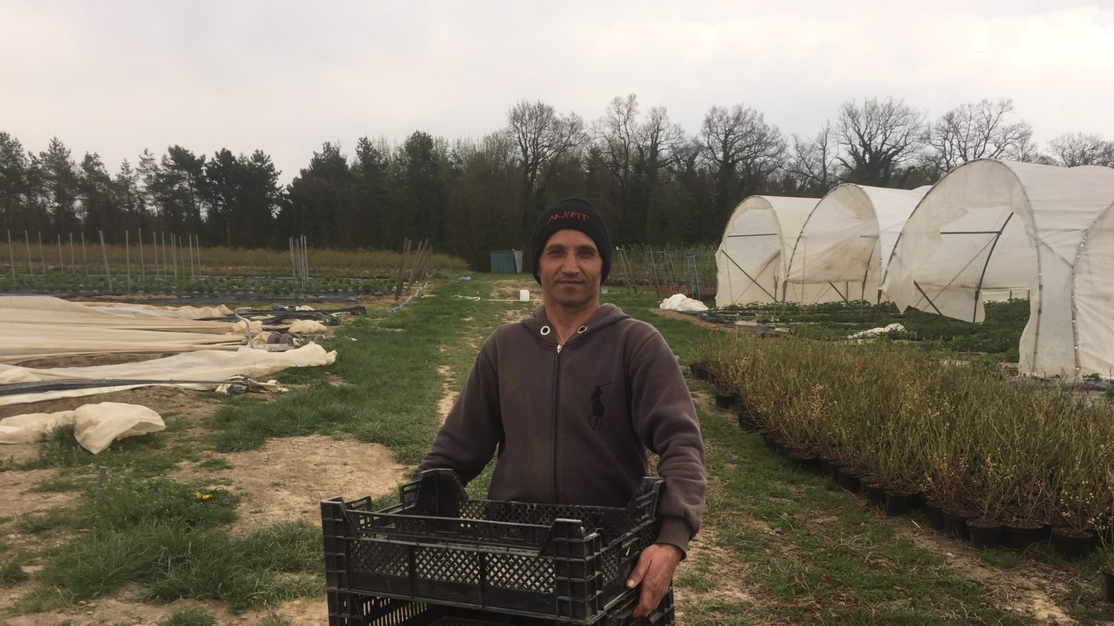 Khello Mohamad aus Syrien - Erntehelfer - FarmTicker