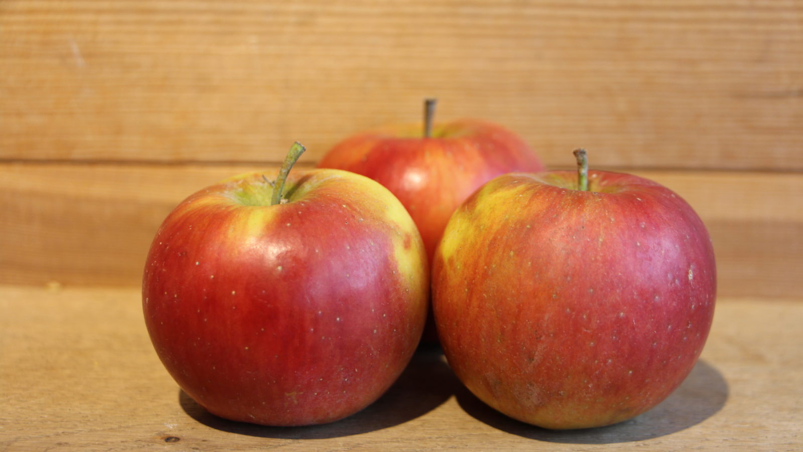 Ladina - neue Apfelsorte - FarmTicker