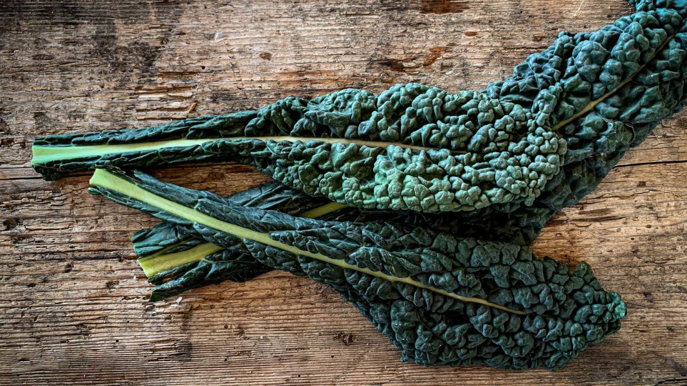 Palmkohl - Auferstehung nach dem Ende - FarmTicker.ch