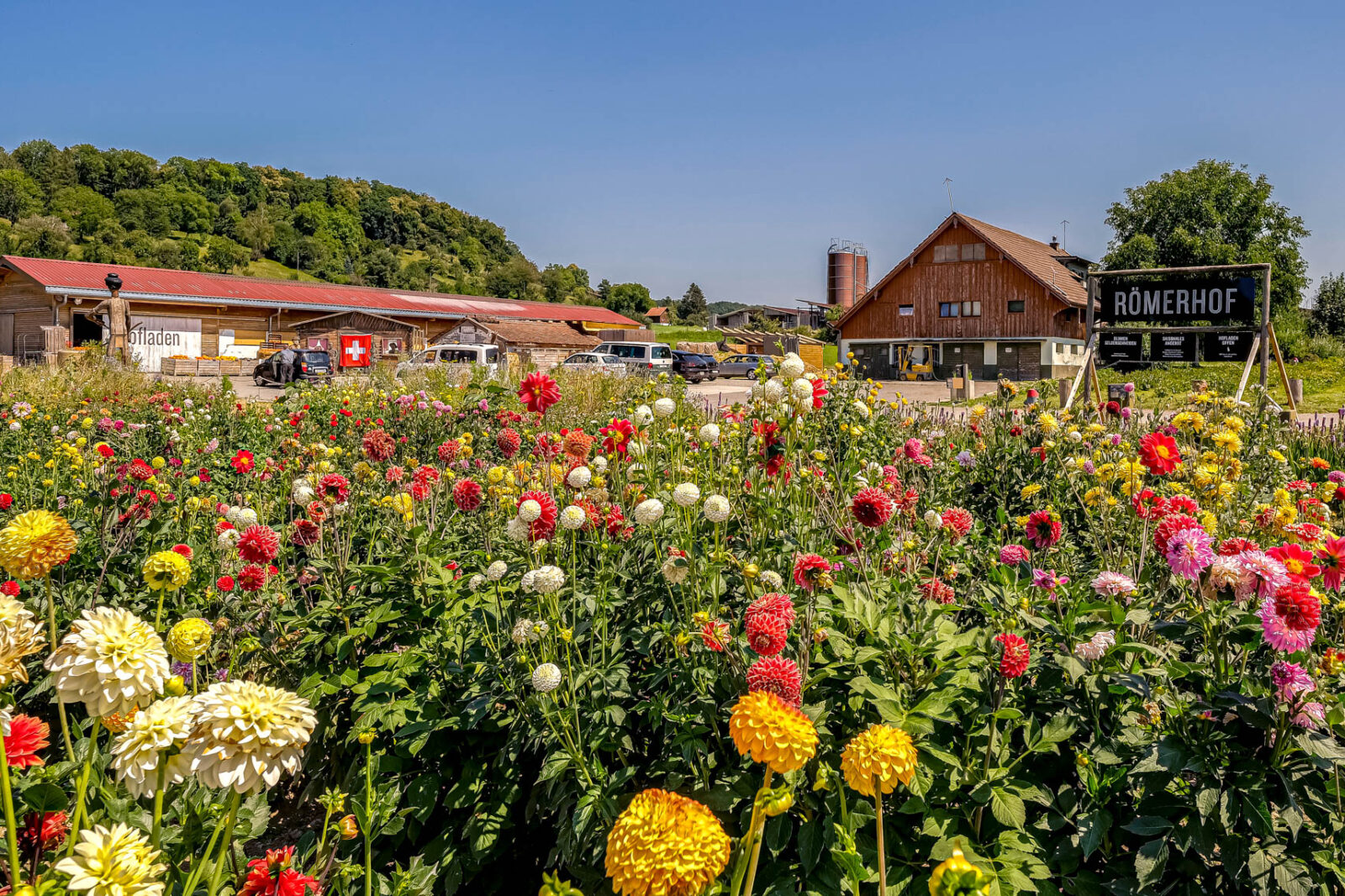Willkommen auf unseren Erlebnishöfen - Jucker Farm