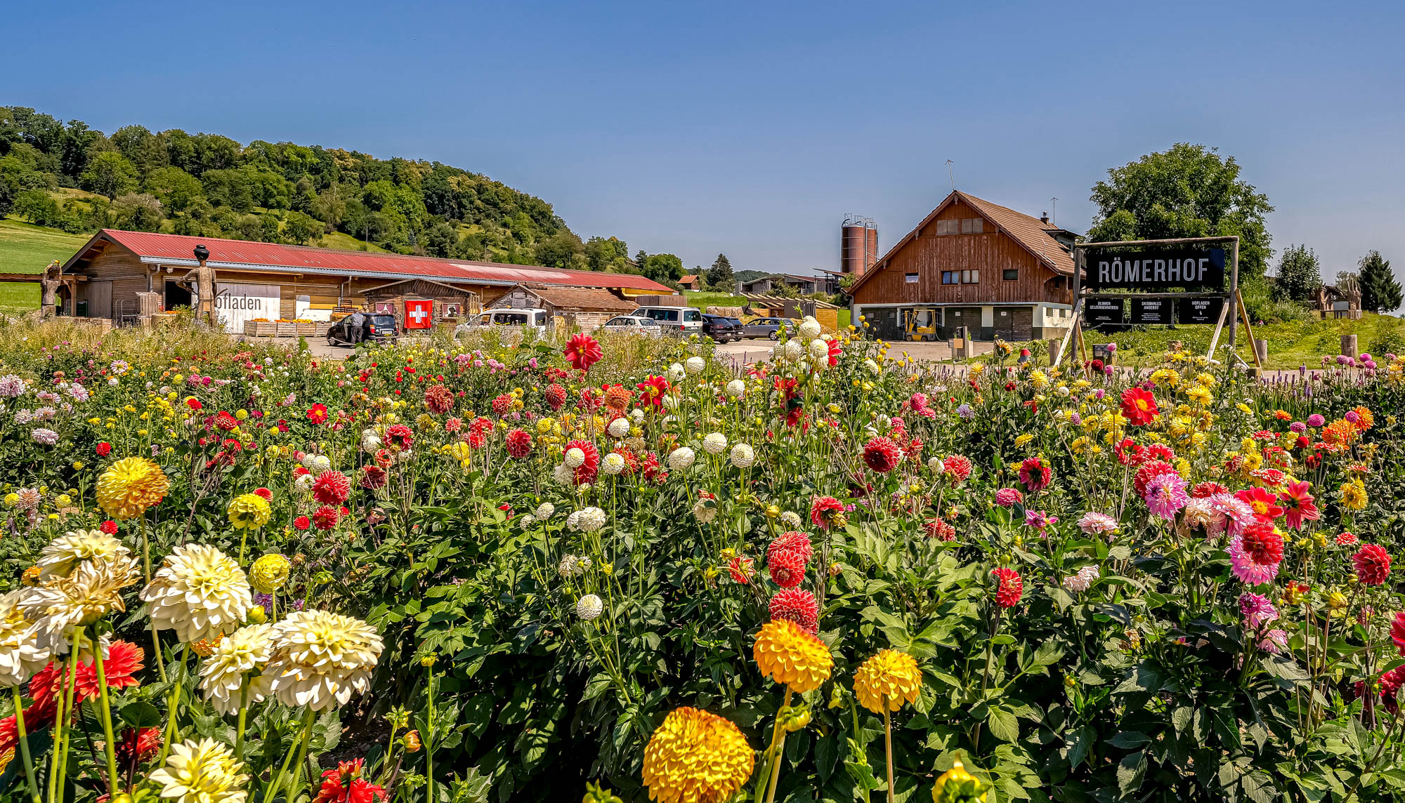 Römerhof in Kloten - Jucker Farm