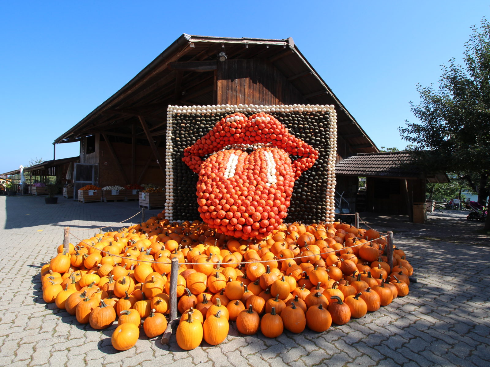 Erlebnisbauernhof Juckerhof in Seegräben - Jucker Farm