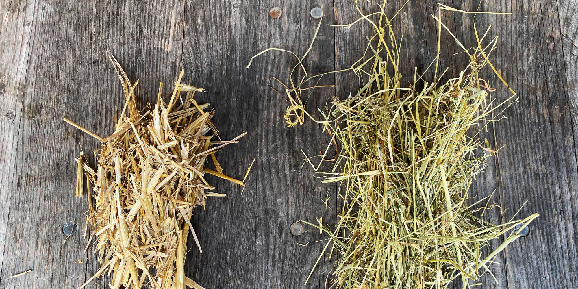 Unterschied zwischen Stroh und Heu - FarmTicker.ch