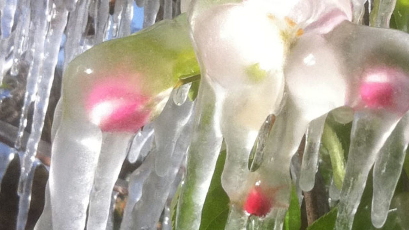 Martin Jucker, Autor bei Jucker Farm