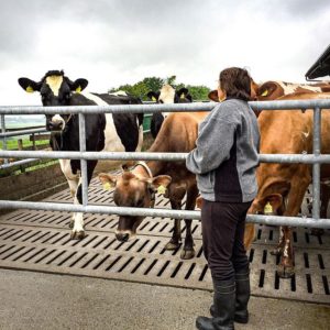 Willkommen auf unseren Erlebnishöfen - Jucker Farm