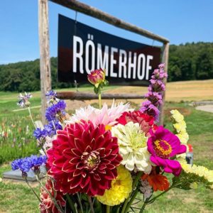 Willkommen auf unseren Erlebnishöfen - Jucker Farm