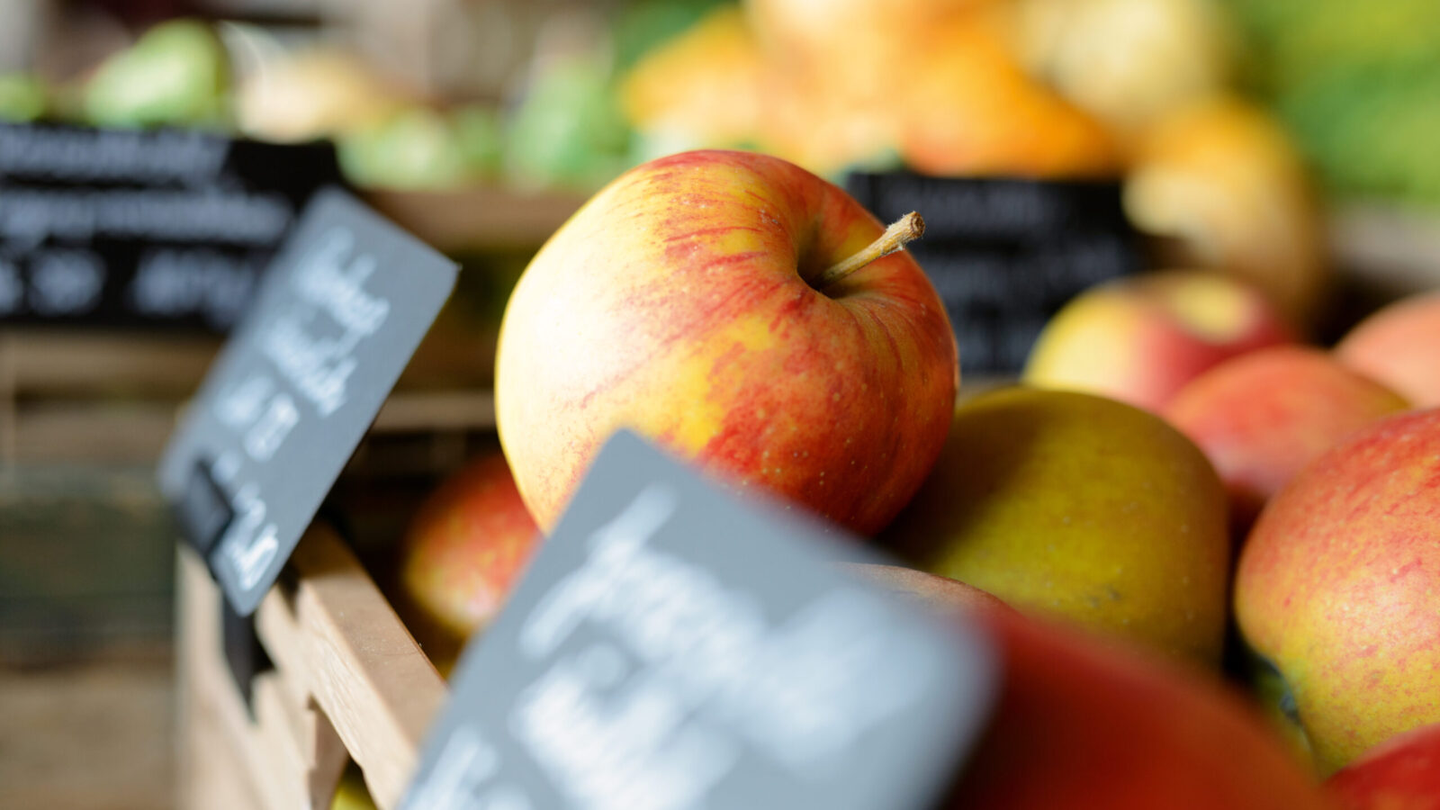 Intensive vs. extensive Landwirtschaft - Was ist der Unterschied?
