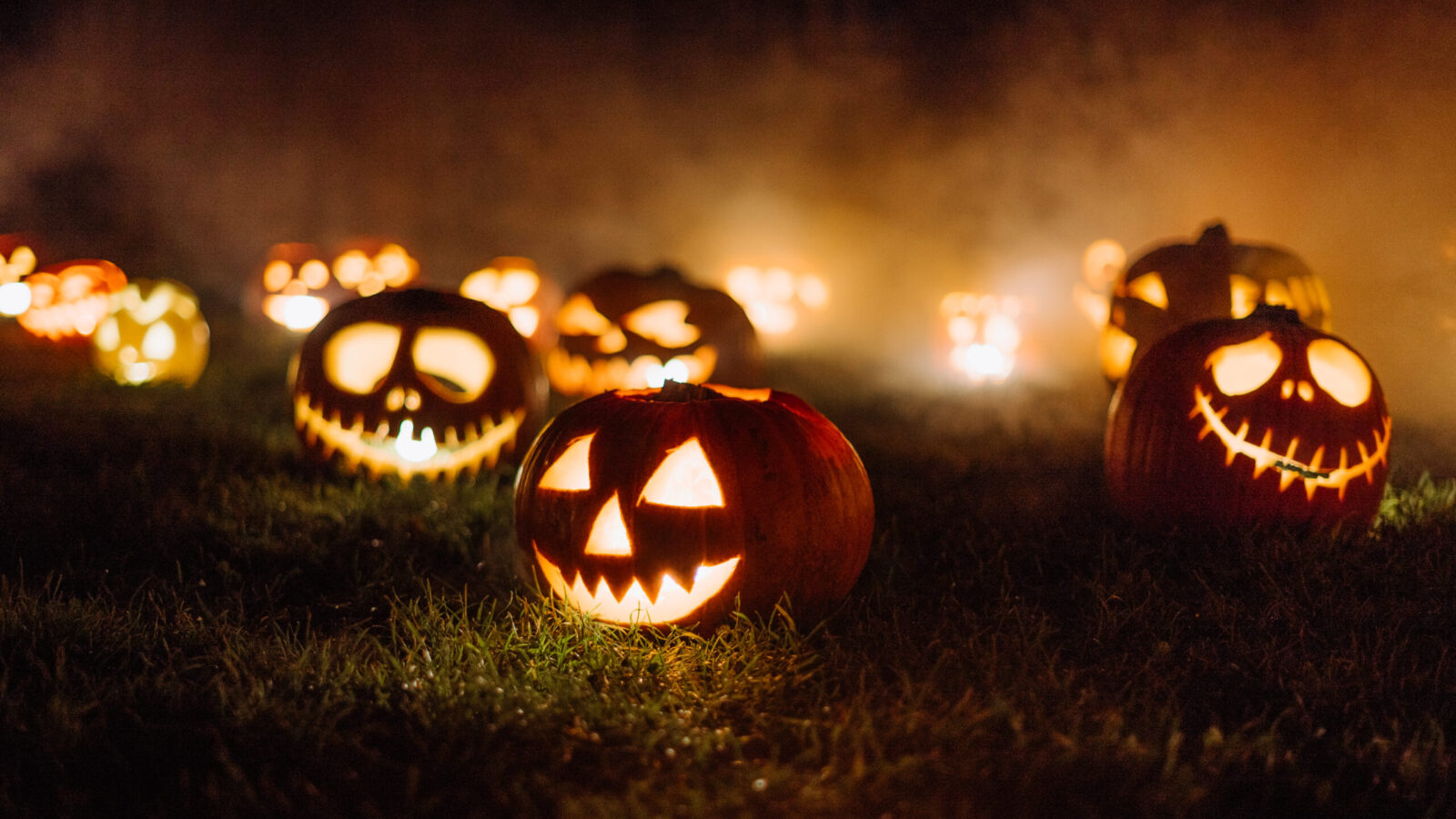 Erlebnisbauernhof Juckerhof in Seegräben - Jucker Farm