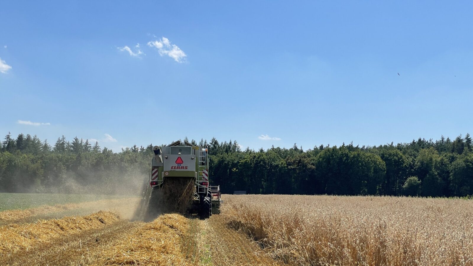 Intensive vs. extensive Landwirtschaft - Was ist der Unterschied?